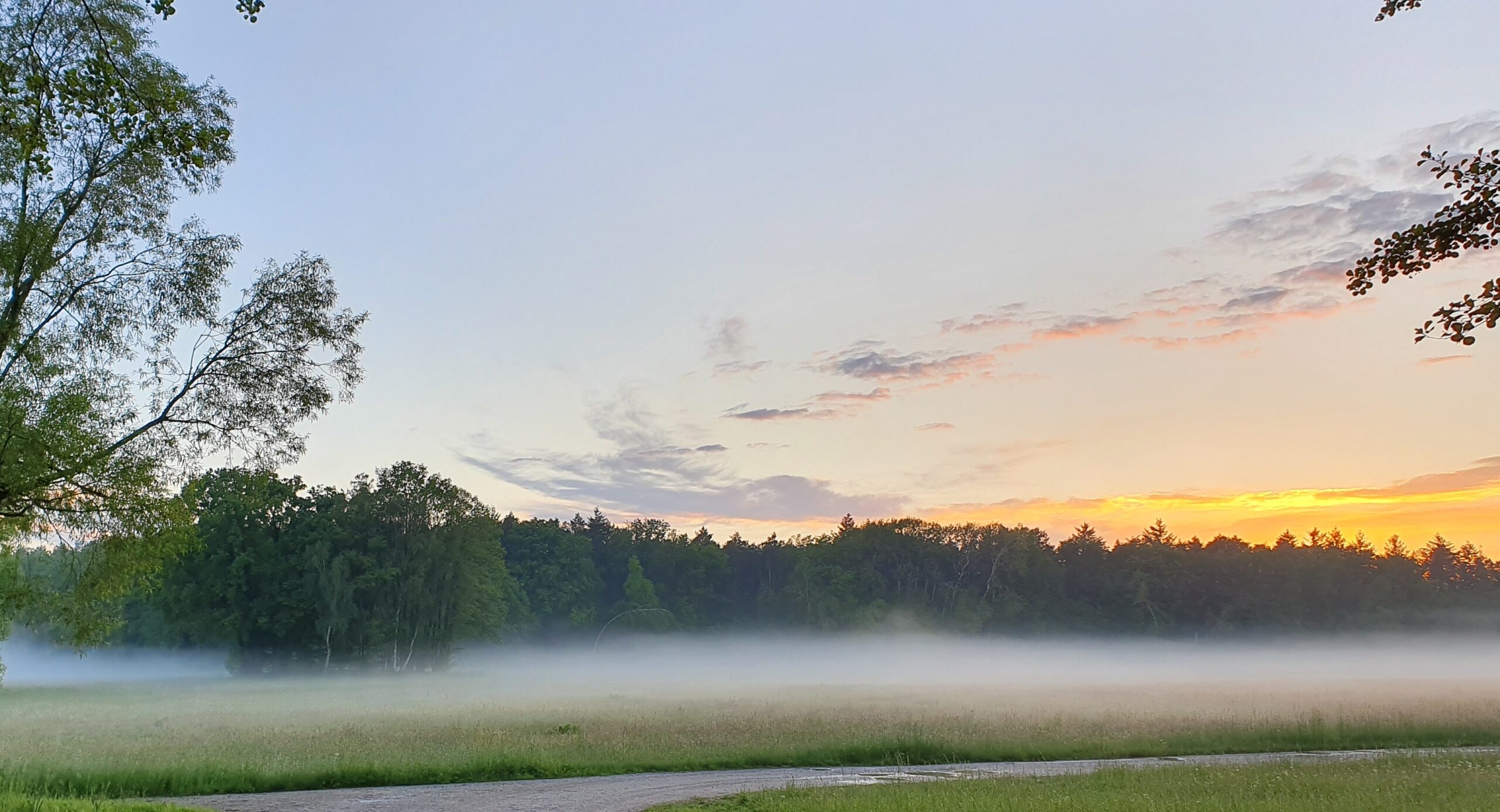 Nachhaltig und Sozial CARAVAN-KROKOR